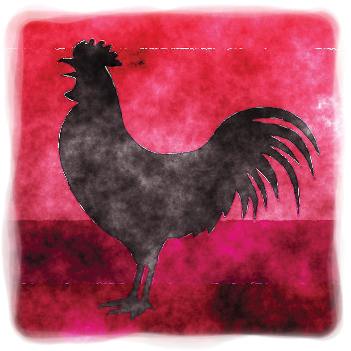 Rooster - David Simmer II Photography & Illustration