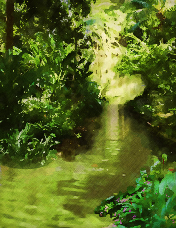 Jungle River - David Simmer II Photography & Illustration