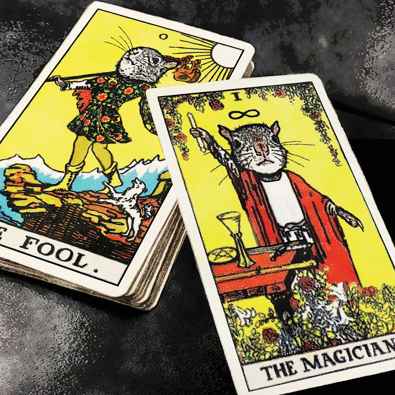 Squirrel Tarot - David Simmer II Photography & Illustration